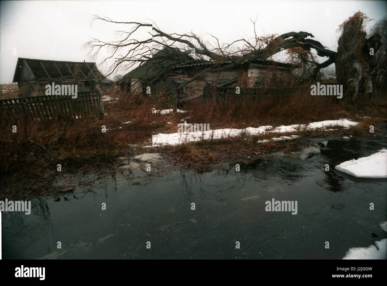 Ukraine. Chernobyl. Abandoned houses Stock Photo - Alamy