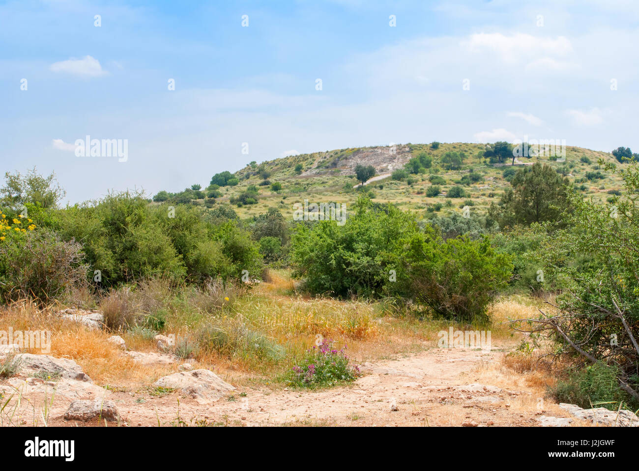 View on biblical landscape Beit Guvrin Maresha. Maresha also Marissa is ...