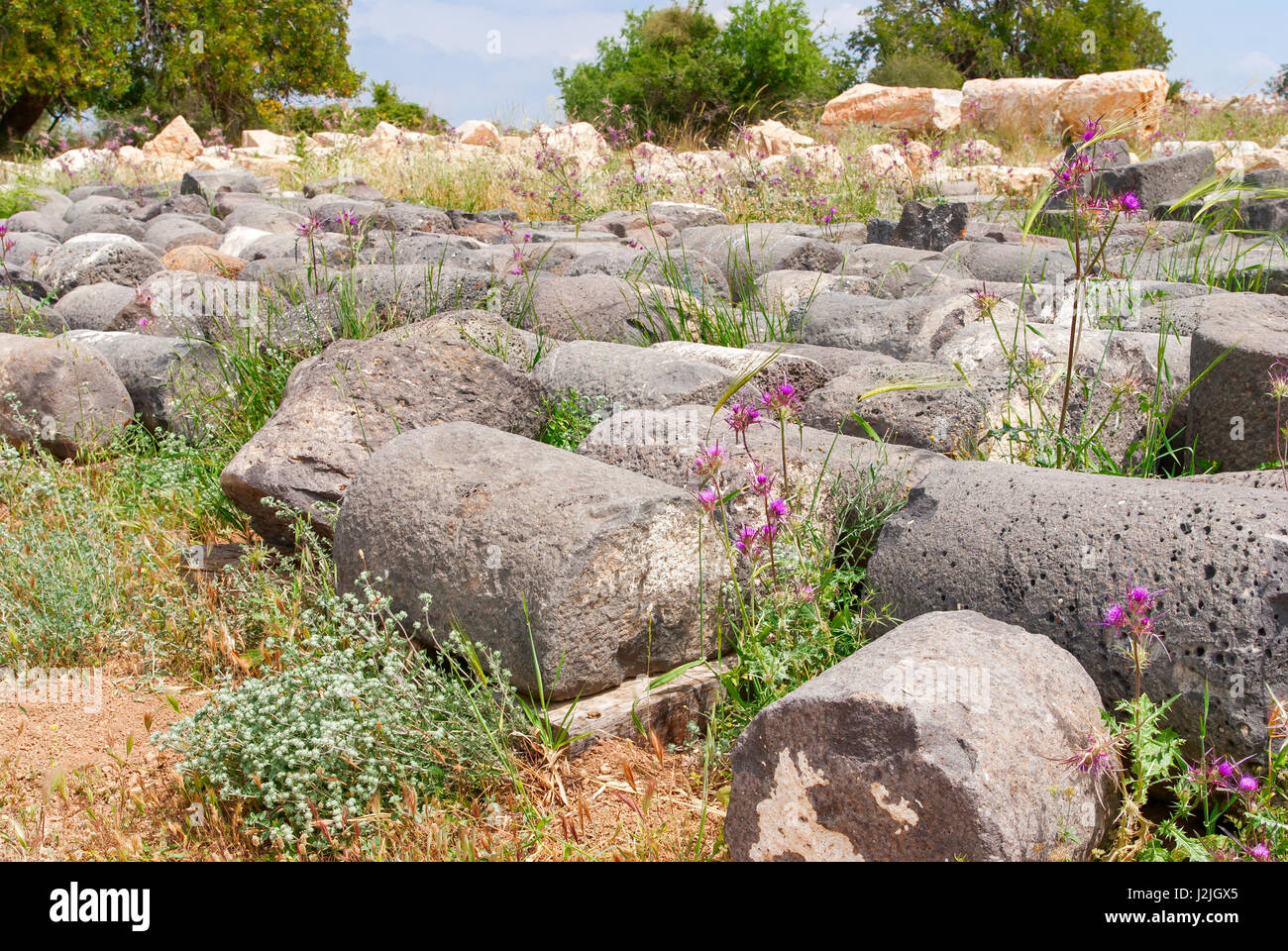 Archeological ruins ancient columns in Beit Guvrin national Park ...