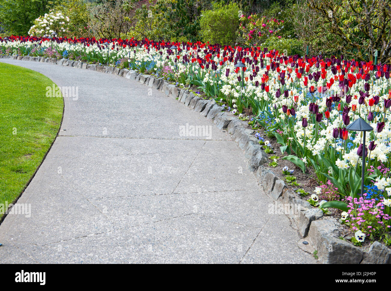 Butchart Gardens. Spring has arrived at Butchart Gardens in Victoria ...