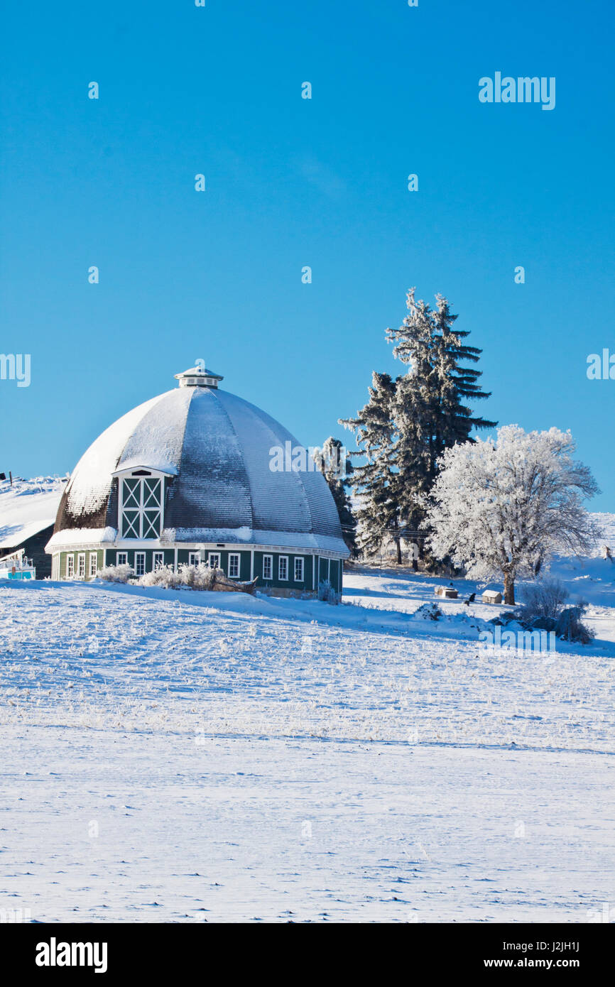 USA, Washington State, Palouse, Snow covered round barn with old tree ...