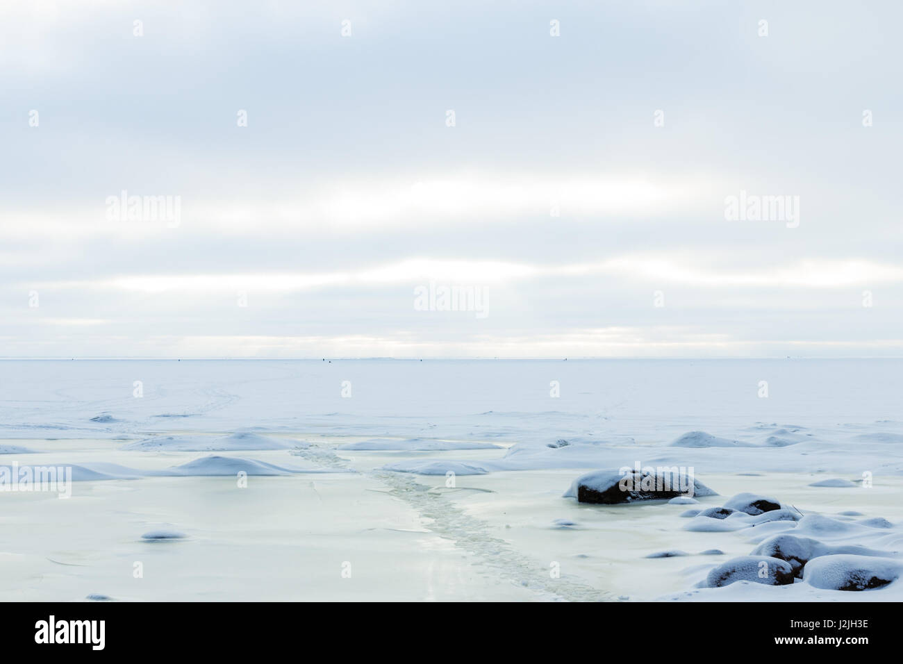 Frozen white russian hi-res stock photography and images - Alamy
