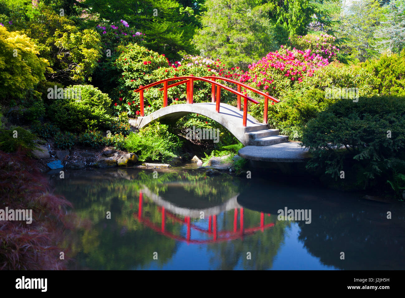 USA, Washington State, Seattle, Kubota Gardens, Spring Flowers and Moon ...