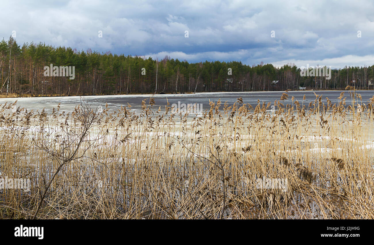 early spring lake in ice and last snow daytime Stock Photo - Alamy