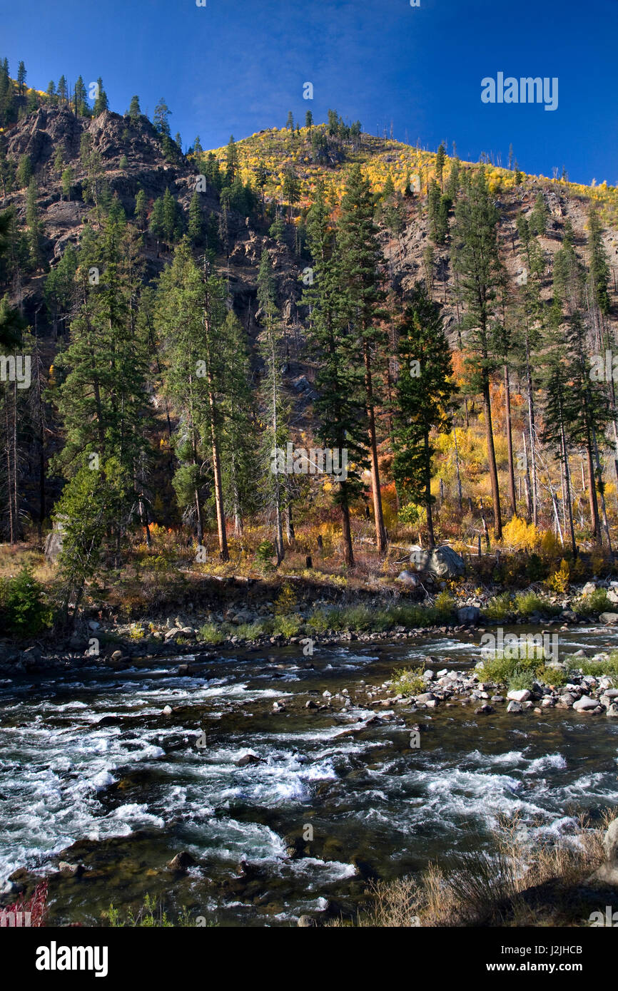 Fall Colors, Wenatchee River, Yellow Trees Mountain Stevens Pass ...