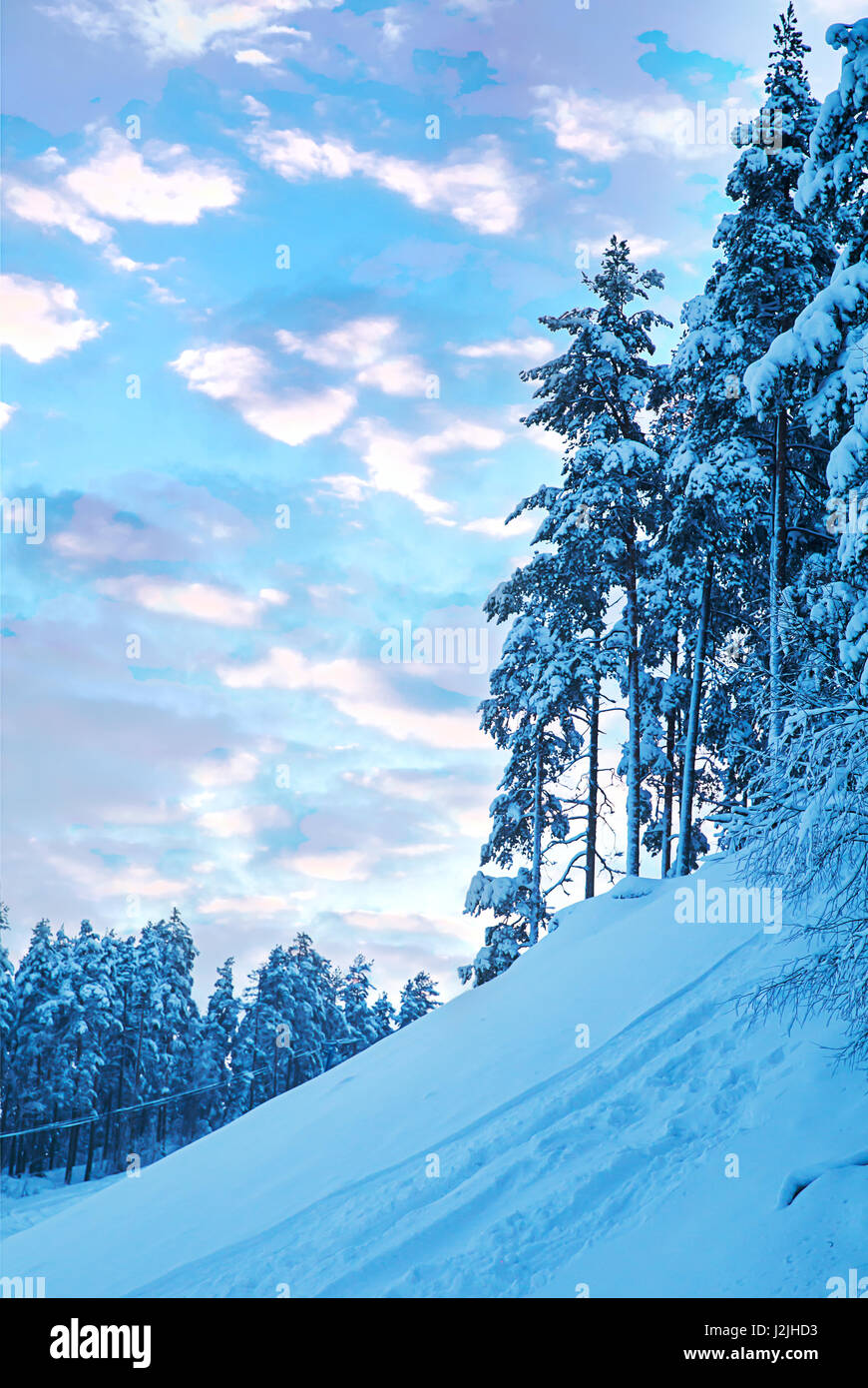 Russian winter forest in snow and ice Stock Photo - Alamy