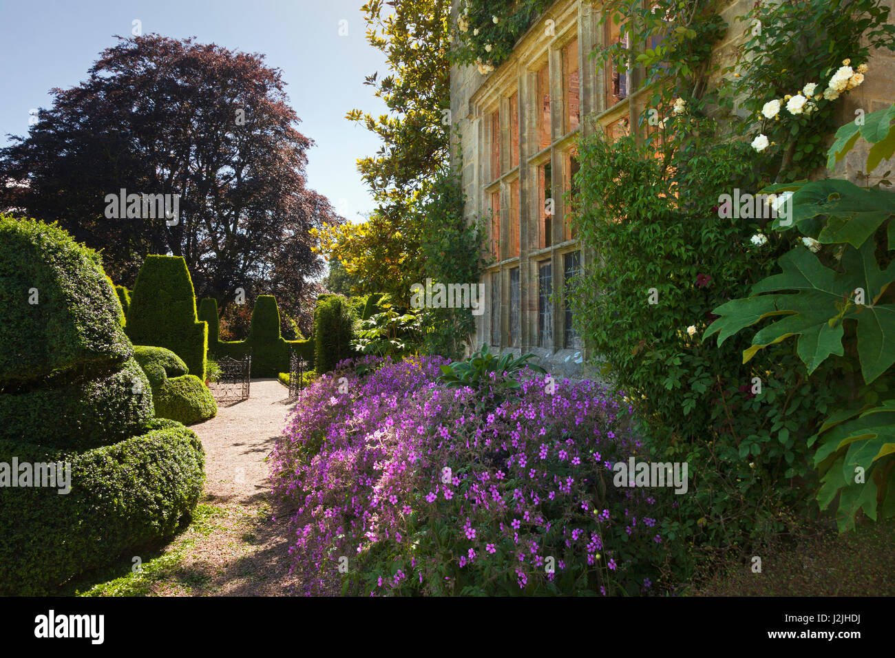 Ruins of the manor house, Nymans Garden, Handcross, West Sussex, Great ...