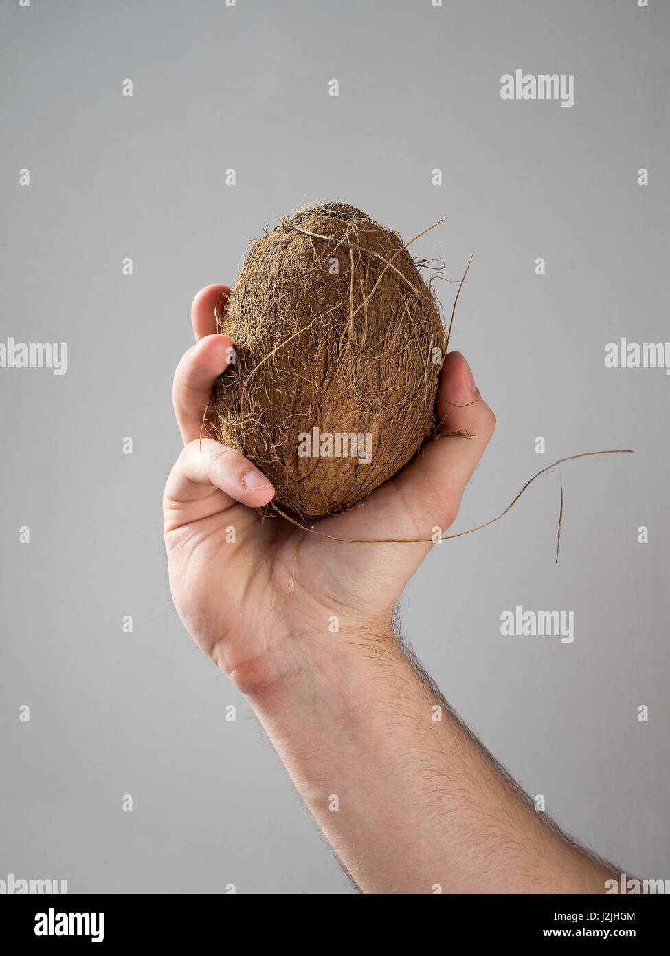 hand holding Coconut Old brown isolated on grey background Stock Photo ...