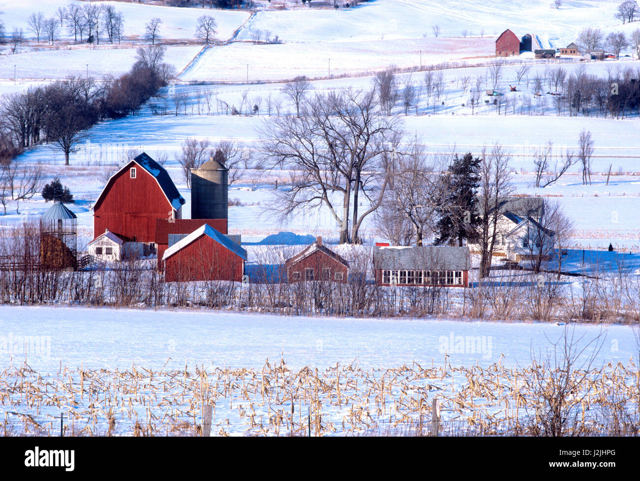 Winter Farm Scene