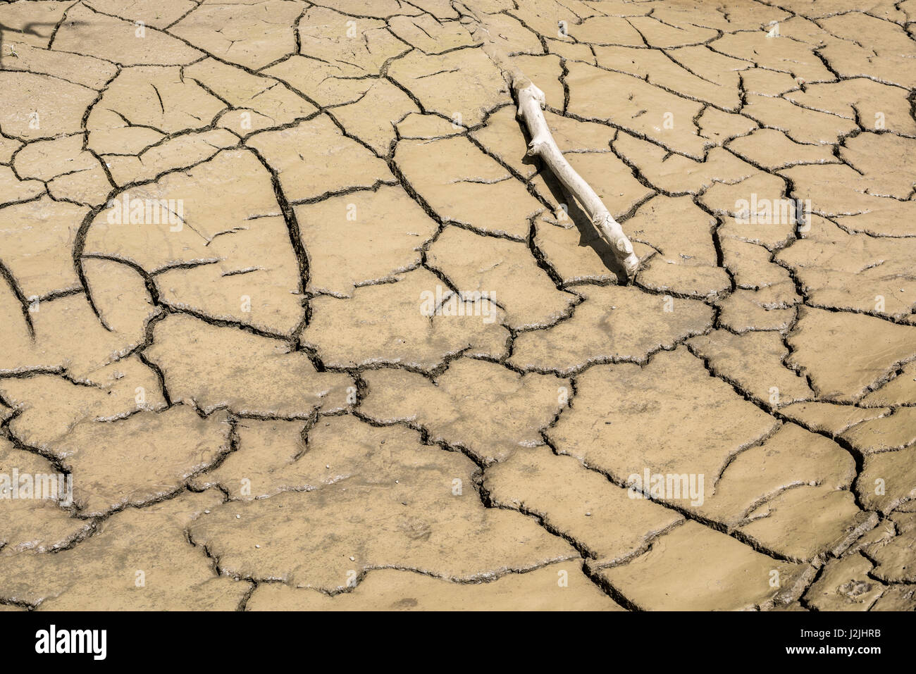Dry River Bed. Dry River Bed and Cracked Sludge Stock Photo - Alamy