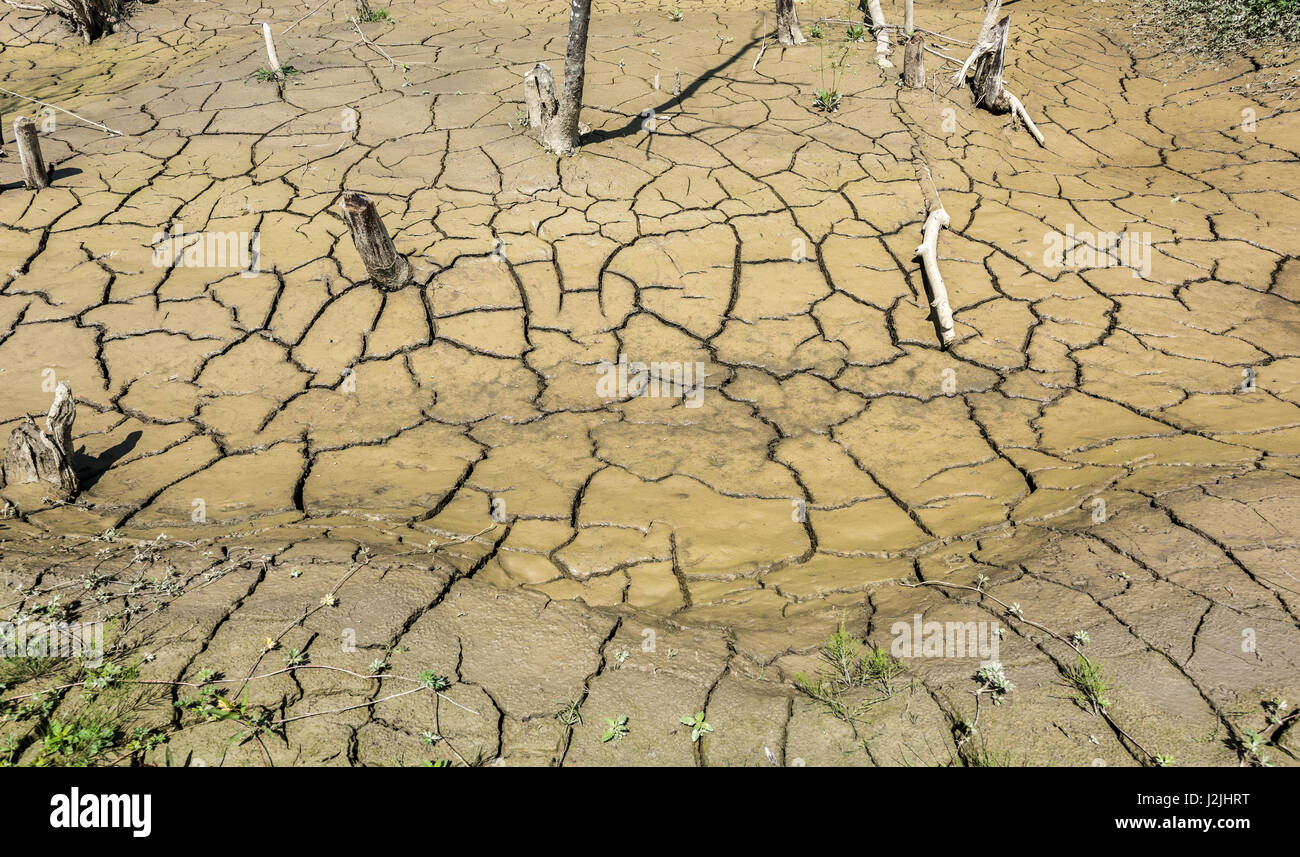 Dry River Bed. Dry River Bed and Cracked Sludge Stock Photo - Alamy