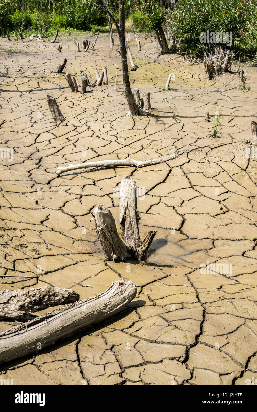 Dry River Bed. Dry River Bed and Cracked Sludge Stock Photo - Alamy