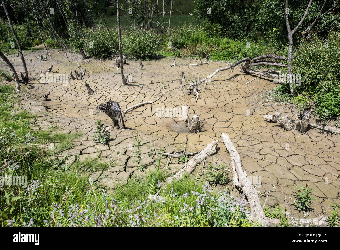 Dry River Bed. Dry River Bed and Cracked Sludge Stock Photo - Alamy