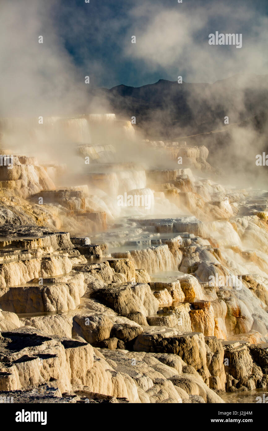 Steaming Canary Spring at sunrise, Mammoth Hot Springs, Yellowstone ...