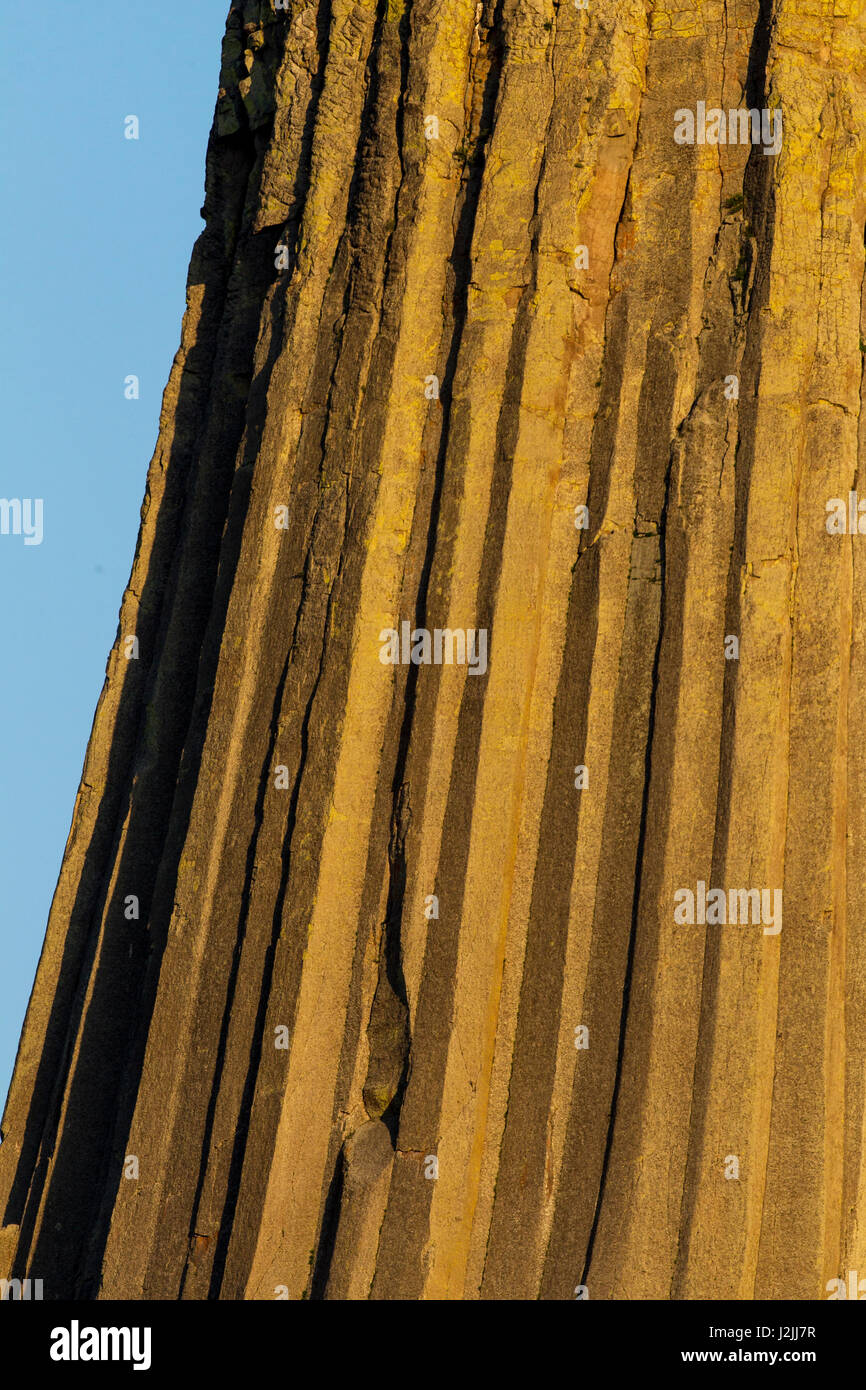 Columnar basalt at Devils Tower National Monument, Wyoming, USA Stock ...