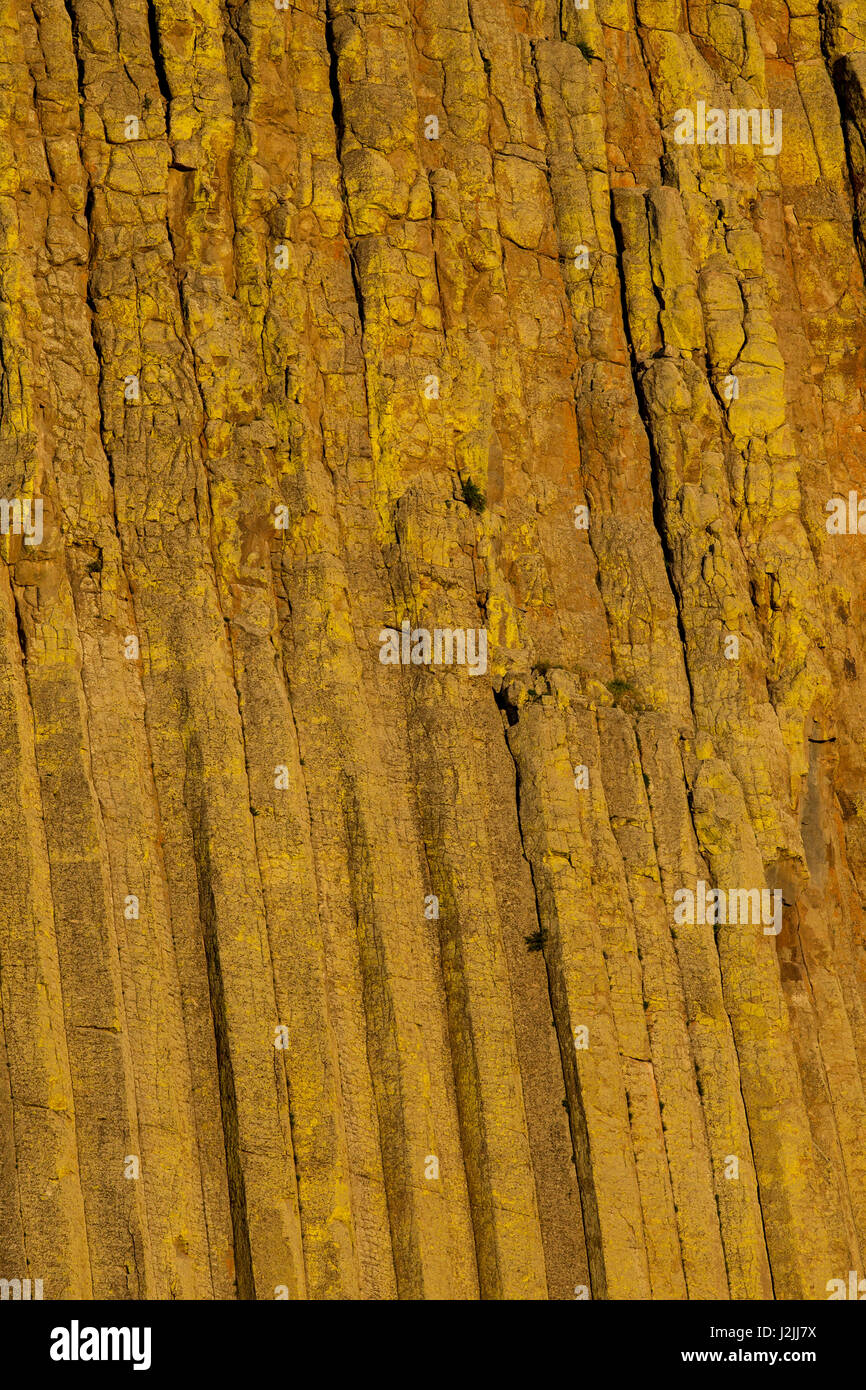 Devils tower basalt rock usa hi-res stock photography and images - Alamy