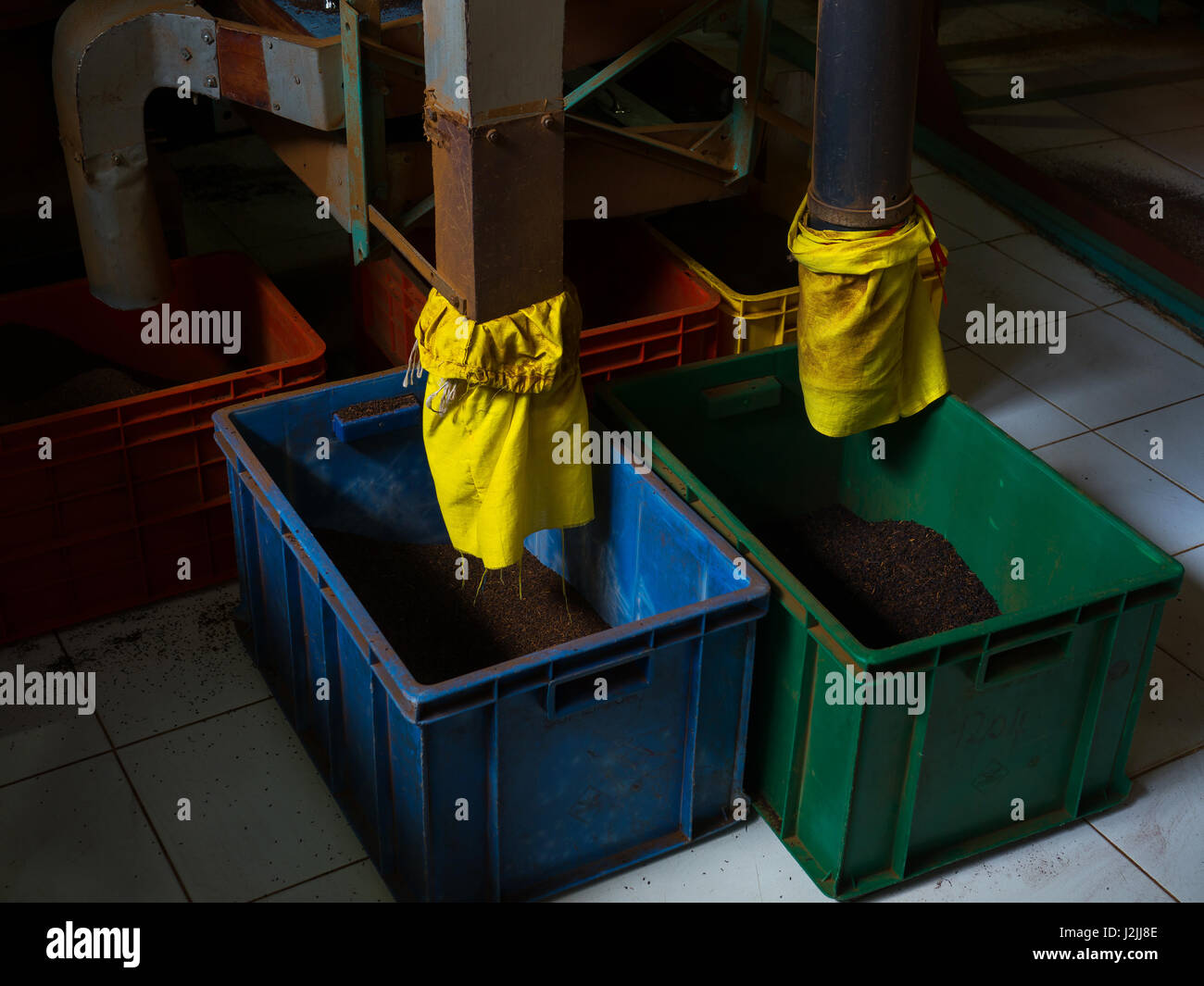 Production of processing tea leaves. Sri Lanka Stock Photo - Alamy