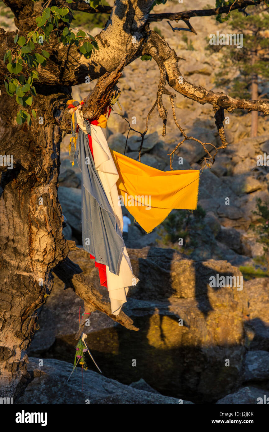 Prayer flags hang in tree at the base of Devils Tower National Monument ...