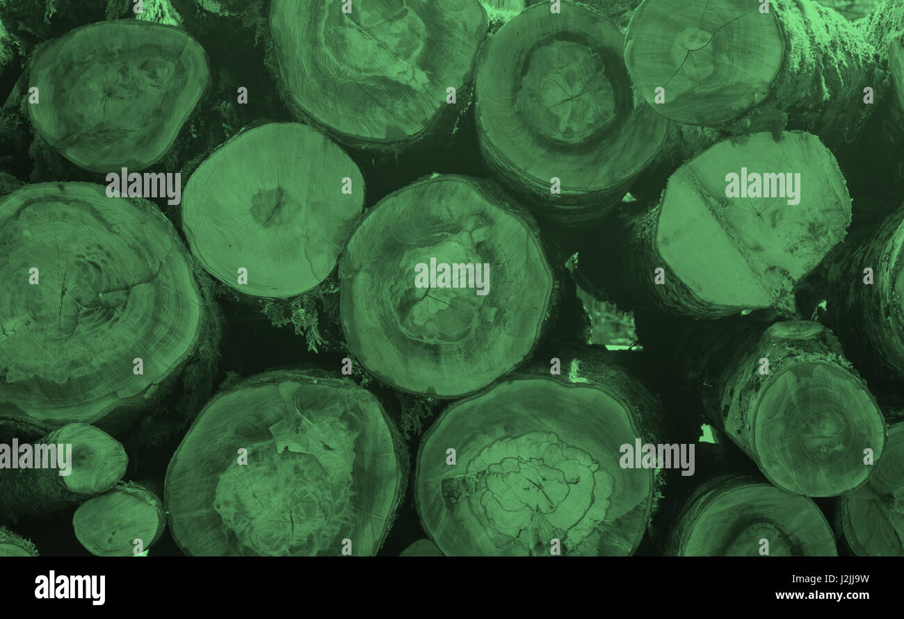 green toned pile of logs in the forest Stock Photo - Alamy