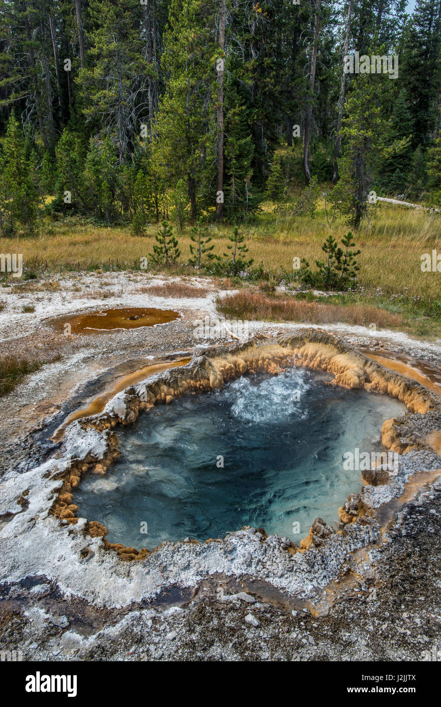 Thermal Pools in the backcountry of Yellowstone National Park (Large ...