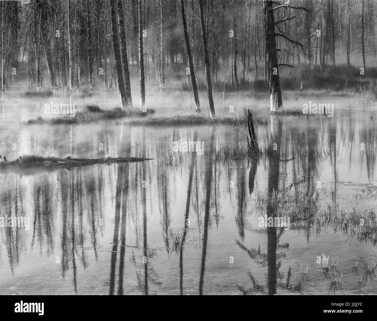 Icy morning Black and White Stock Photos & Images - Alamy