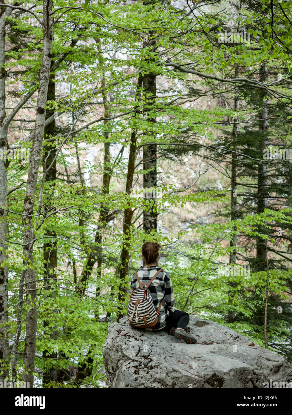 Traveler green hi-res stock photography and images - Alamy