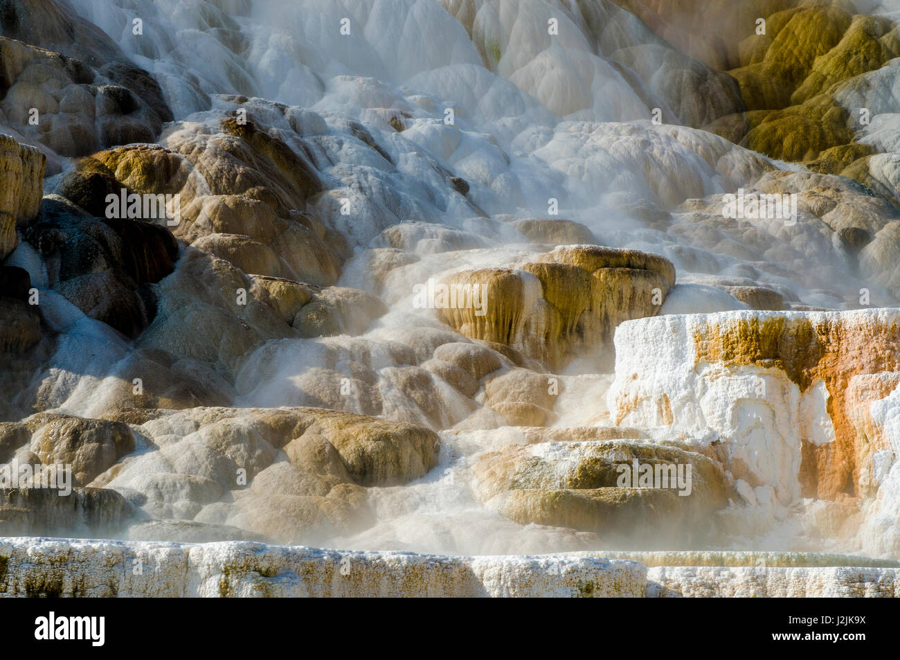 Mammoth Hot Springs terraces Yellowstone National Park, Wyoming, USA Stock Photo - Alamy