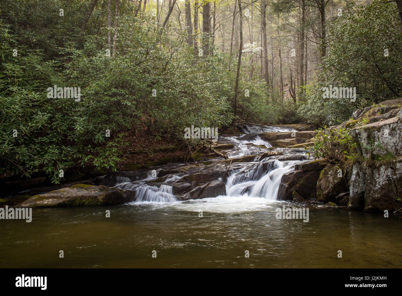 Wildcat Creek is located in Rabun County in north Georgia. It flows ...
