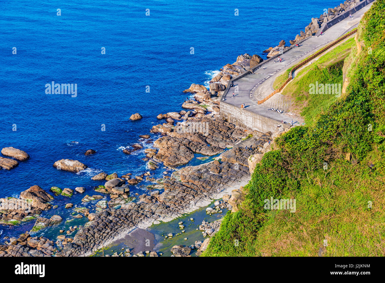 Birds in taiwan hi-res stock photography and images - Alamy