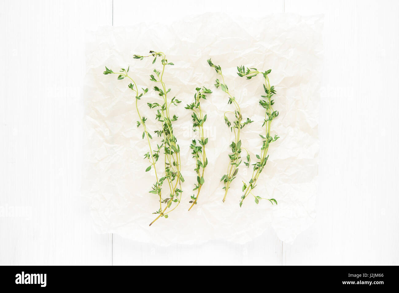 Thyme plant top view hi-res stock photography and images - Alamy