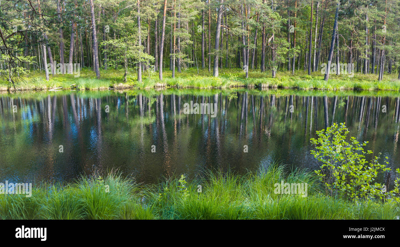 Landscape of still water of the river with colorful reflections of the ...