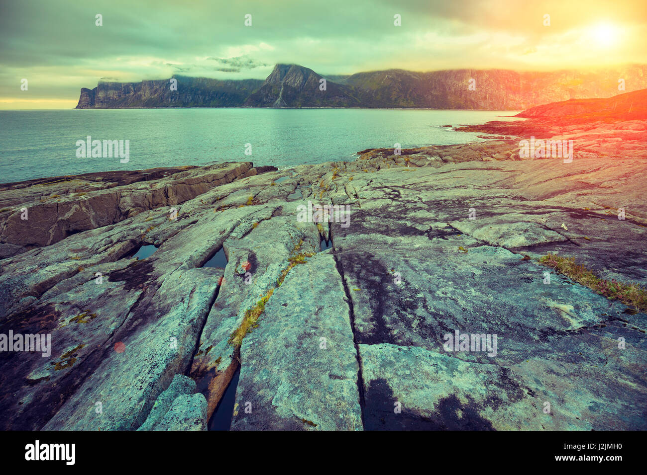Fjord, rocky beach at magic pink blue sunset, wild nature Norway. Senja ...
