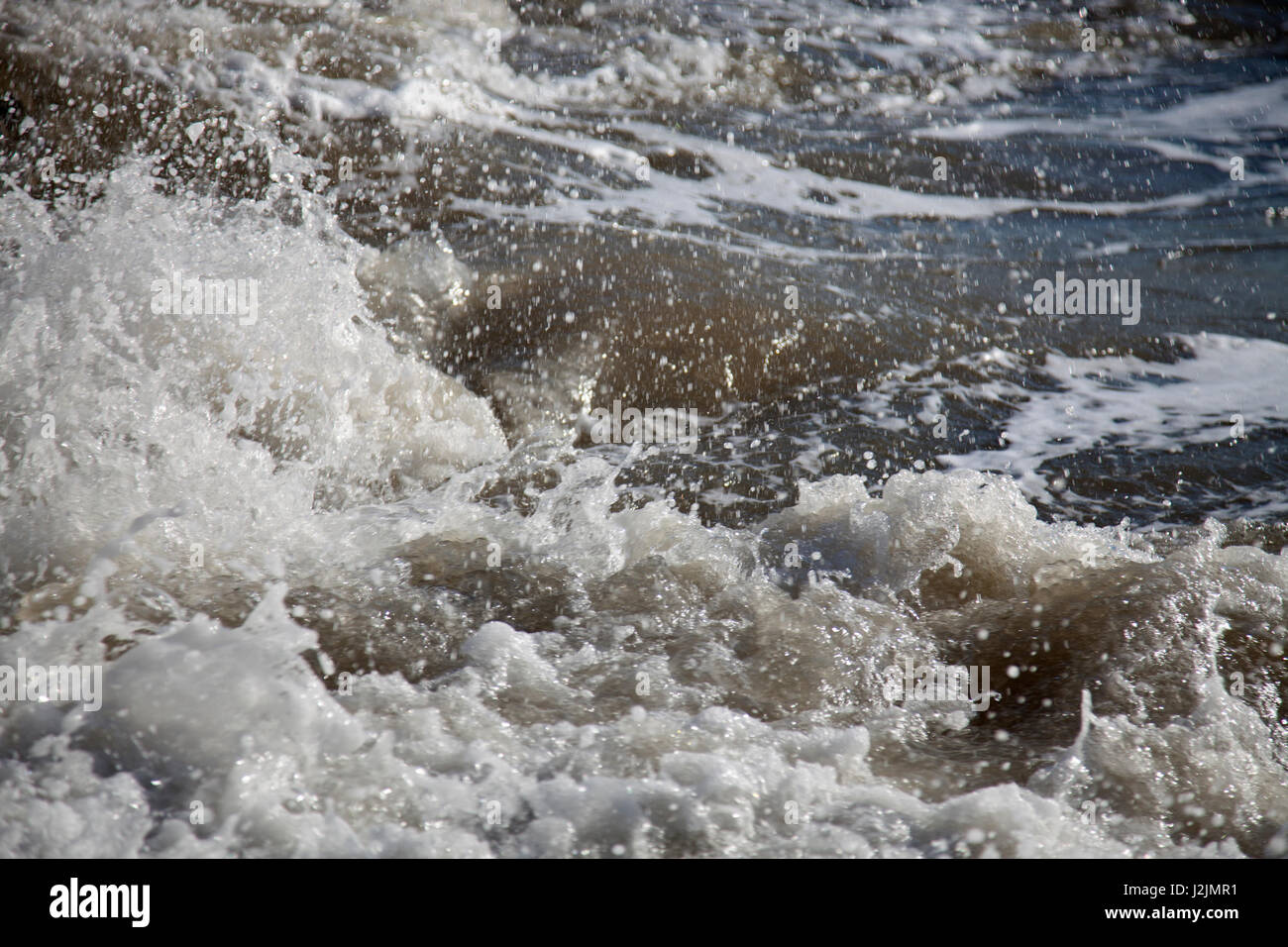 Swamp water pound hi-res stock photography and images - Alamy