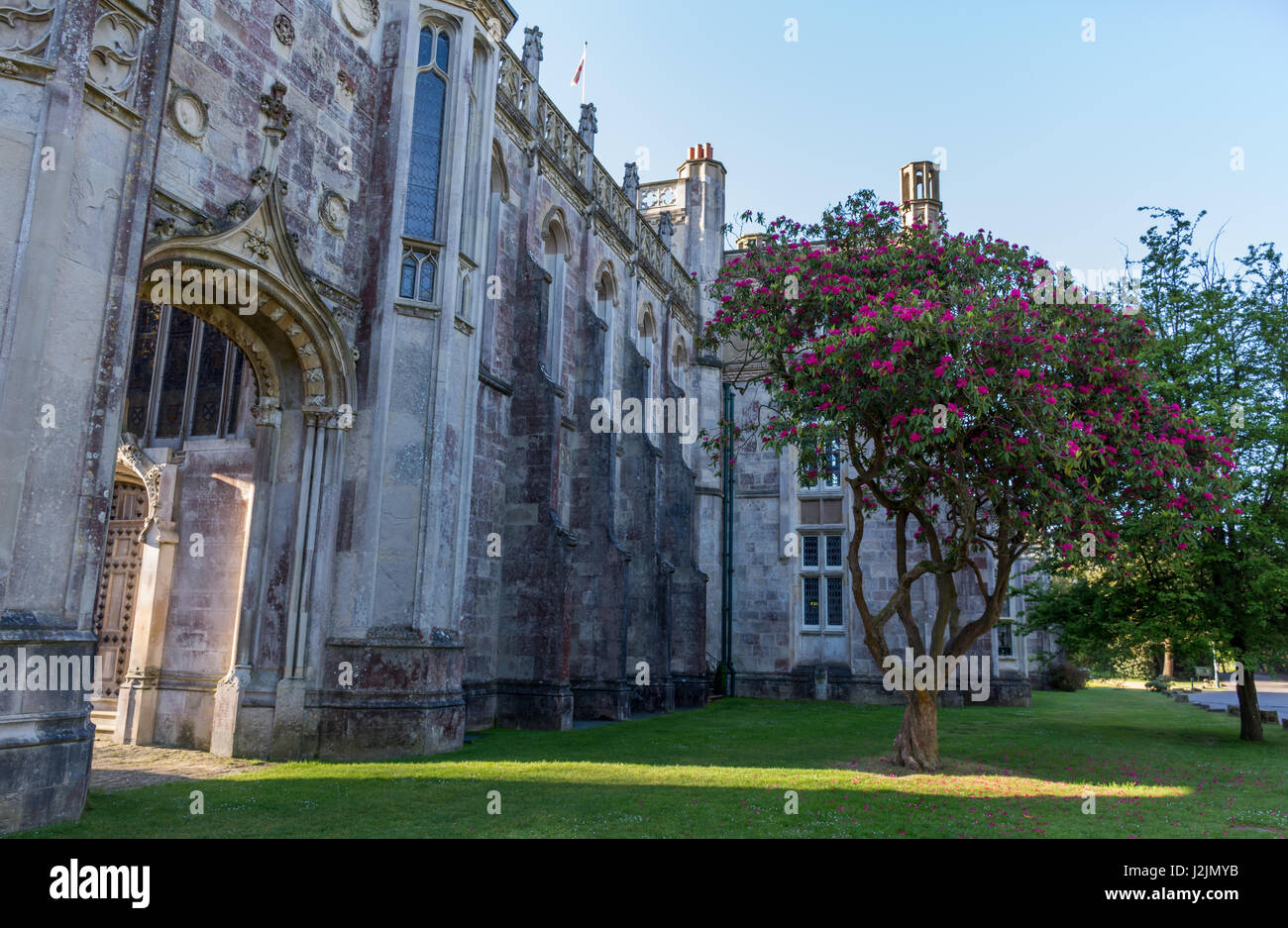 Highcliff castle hi-res stock photography and images - Alamy