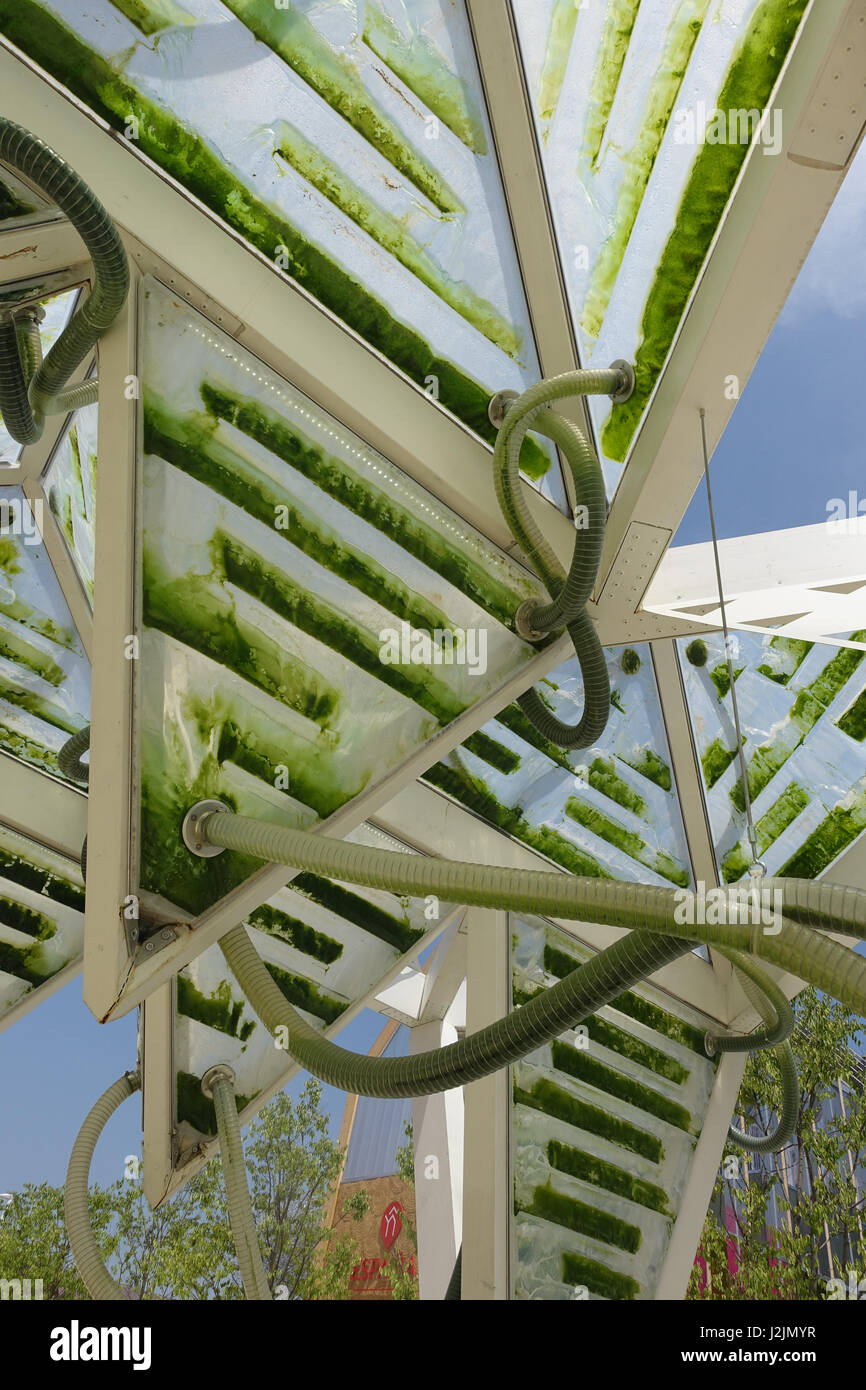 Mailand, Weltausstellung 2015, Future Food Court, Algenfarm - Milano ...