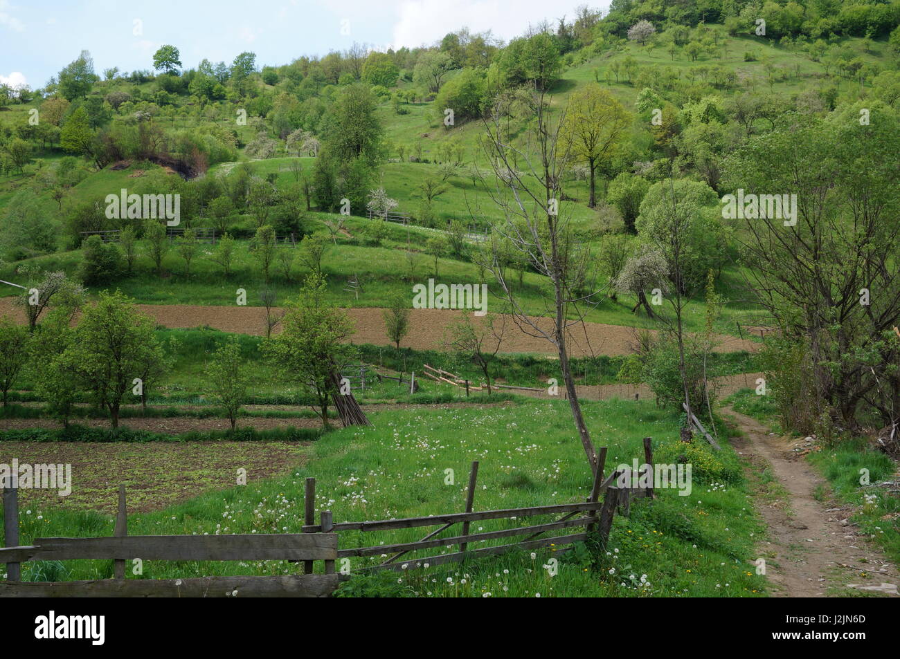 Typical Romanian countryside landscape Stock Photo - Alamy