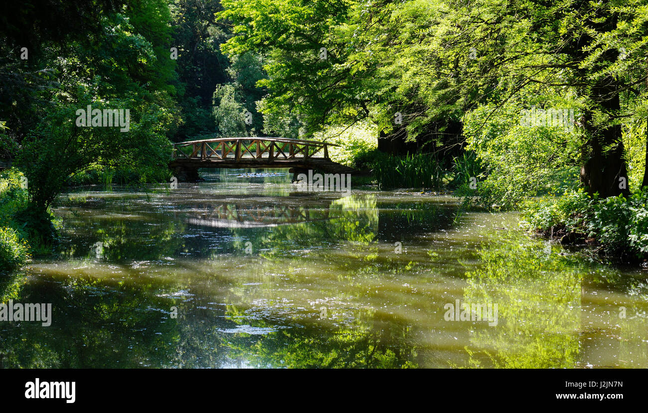 Bridge over a pond in a nature park Stock Photo - Alamy