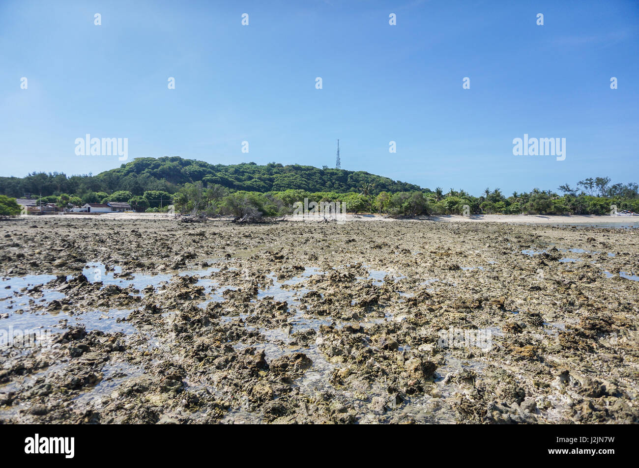 Dead tide hi-res stock photography and images - Alamy