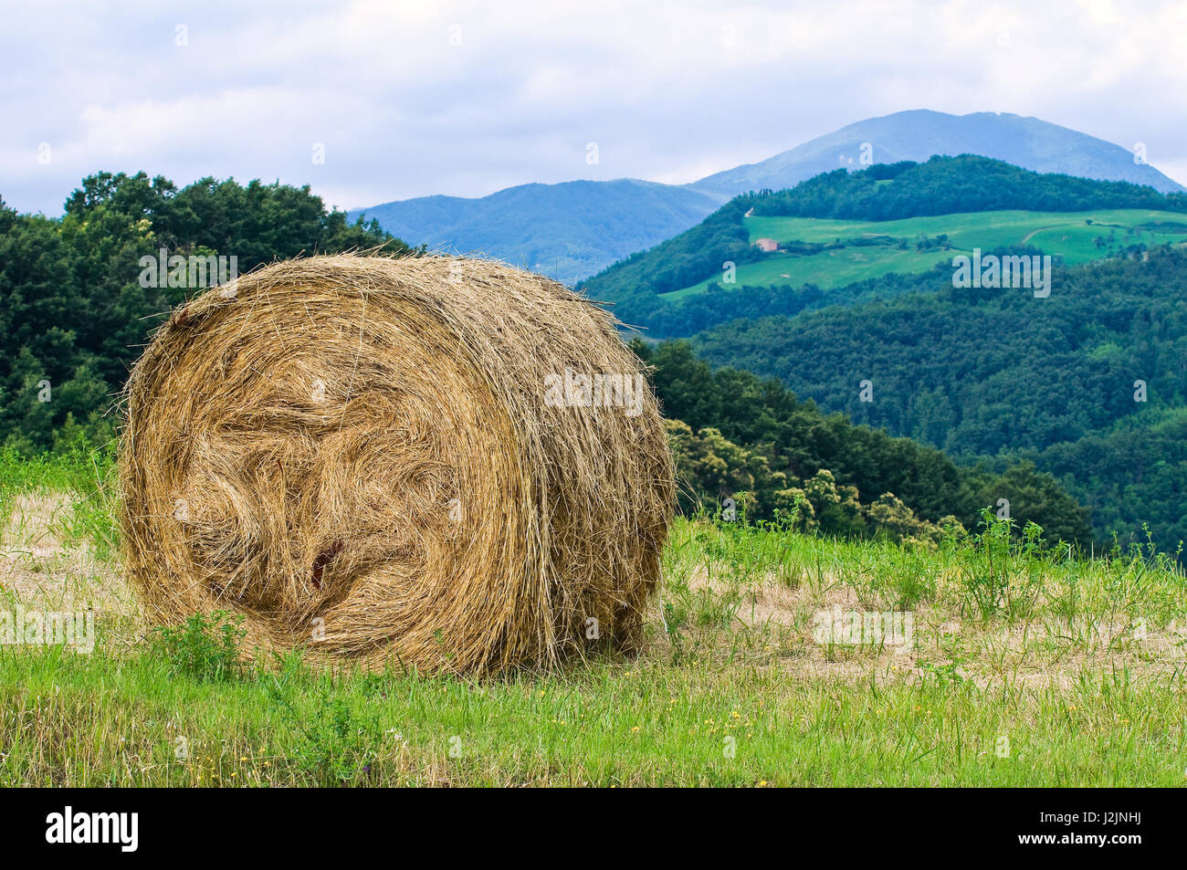 Hay bale field Stock Photo - Alamy