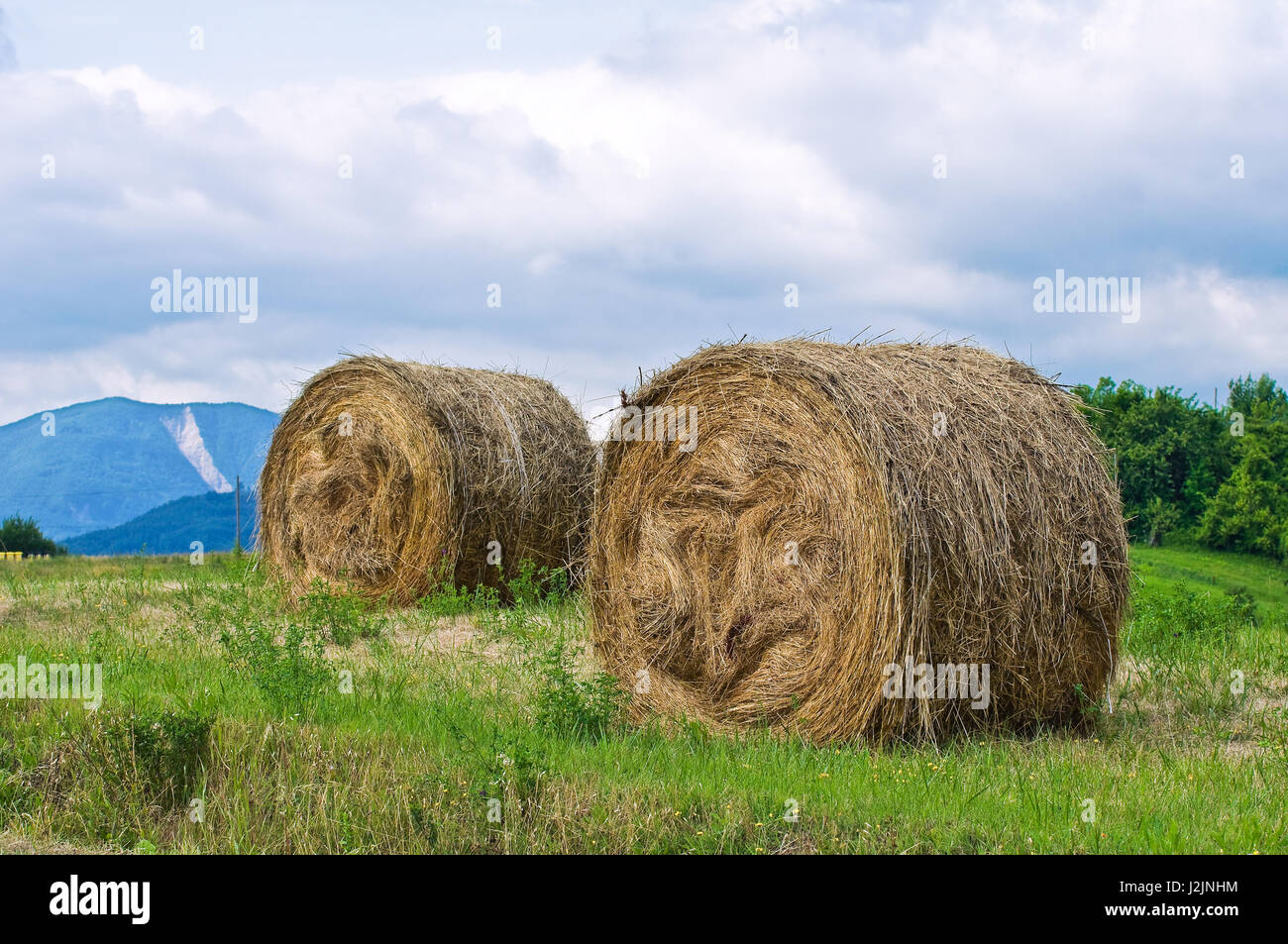 Hay bale field Stock Photo - Alamy