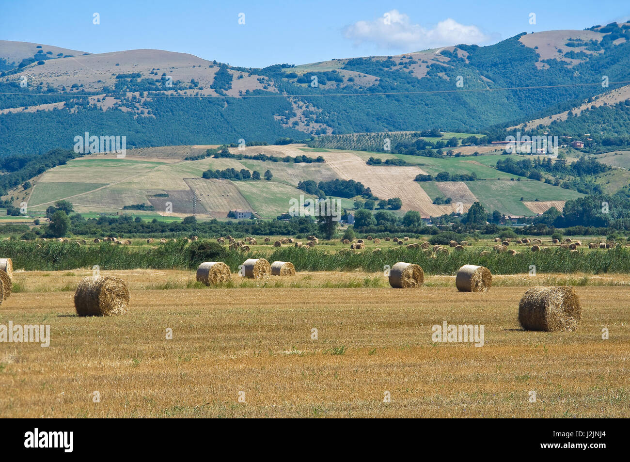 Hay bale field Stock Photo - Alamy