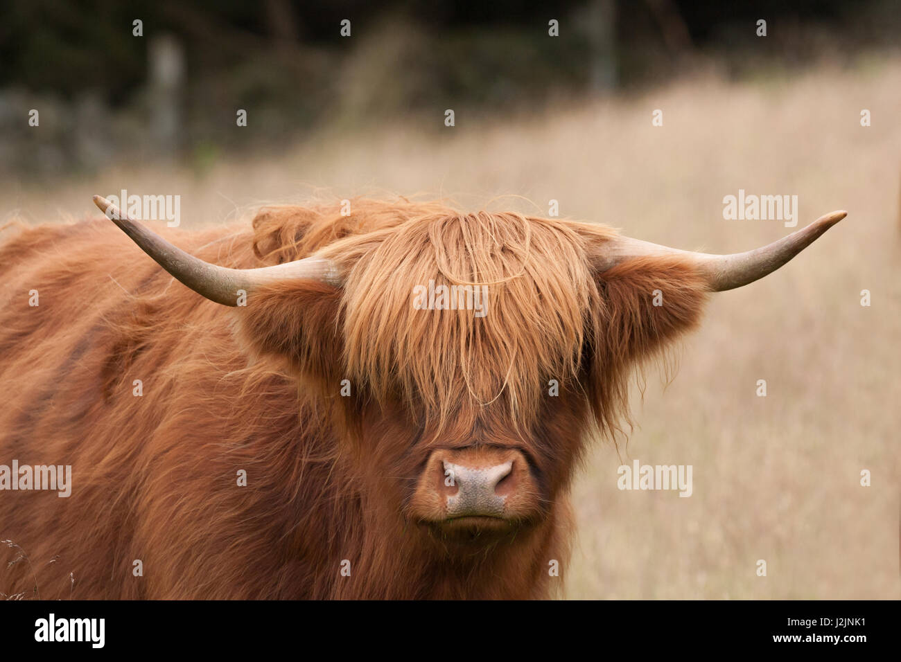 Braw scotland hi-res stock photography and images - Alamy