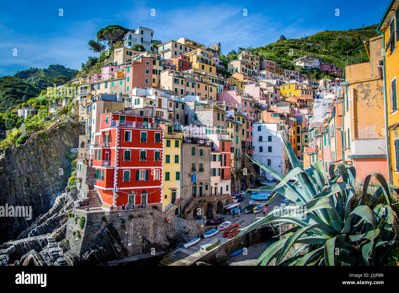 Cinque Terre village with colorful houses on a hill Stock Photo - Alamy