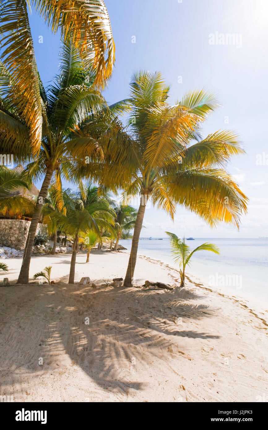 View of a tropical Caribbean Island paradise Stock Photo - Alamy