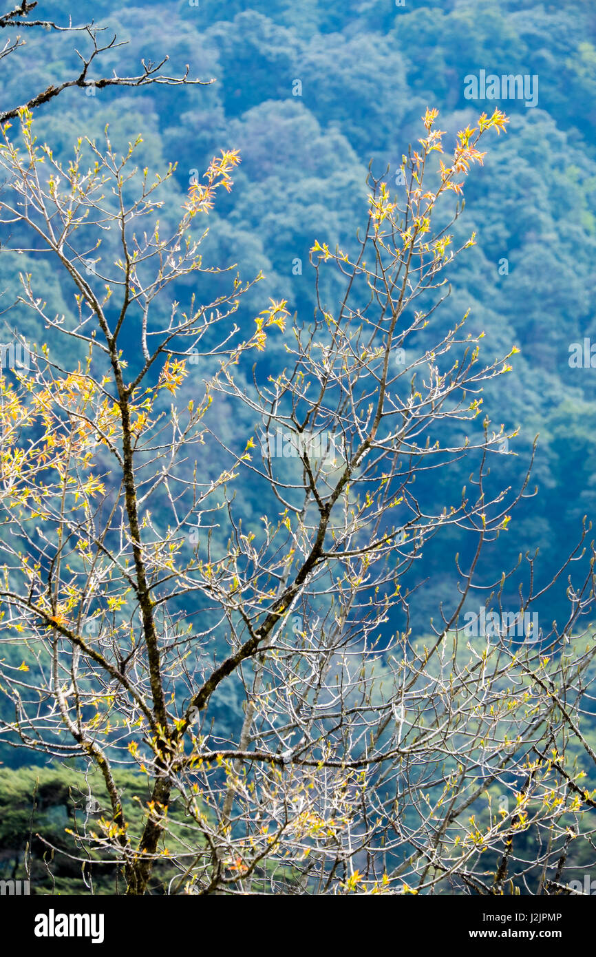 Wilderness cold vertical hi-res stock photography and images - Alamy