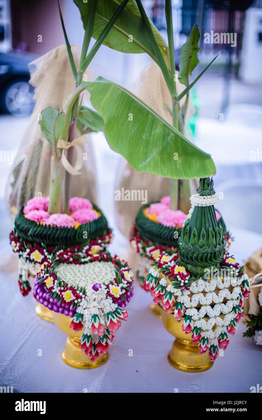 Banana Tree Images For Wedding