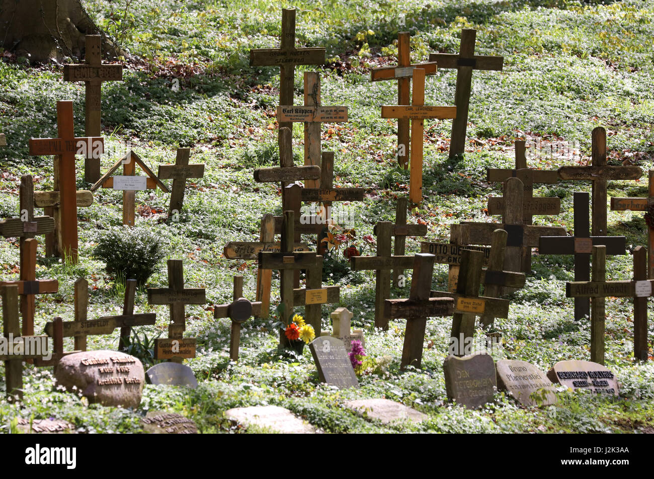 The southern cemetery for the Dead of the NKVD special camp can be seen ...