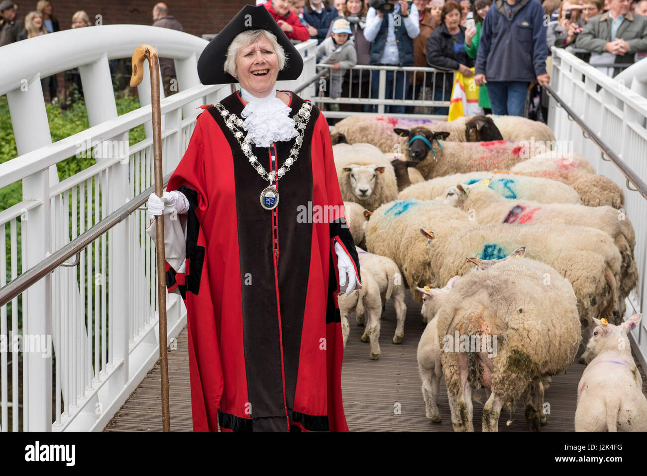 High hall, wimborne hi-res stock photography and images - Alamy
