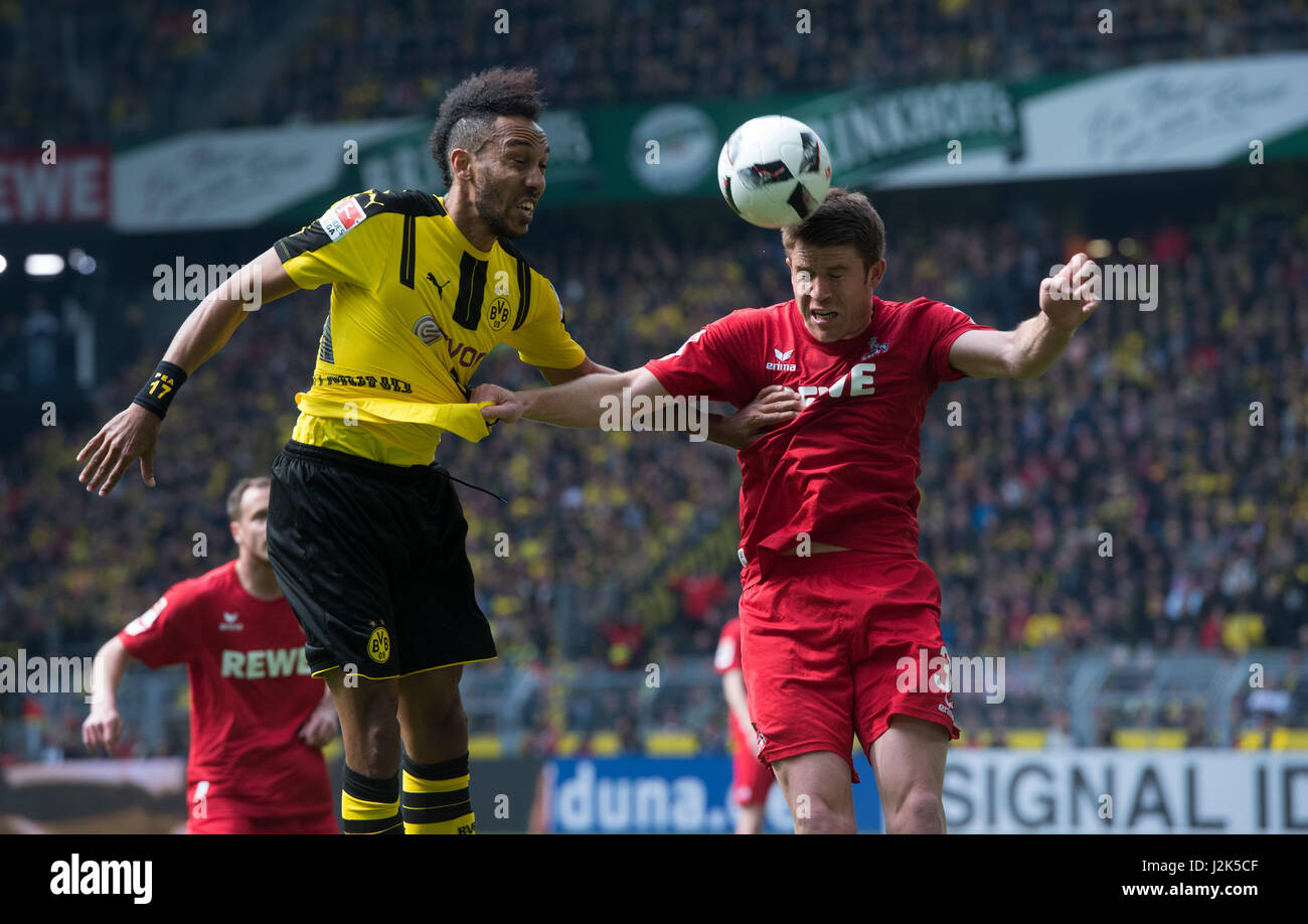 Cologne's Dominique Heintz and Dortmund's Pierre-Emerick Aubameyang (L ...