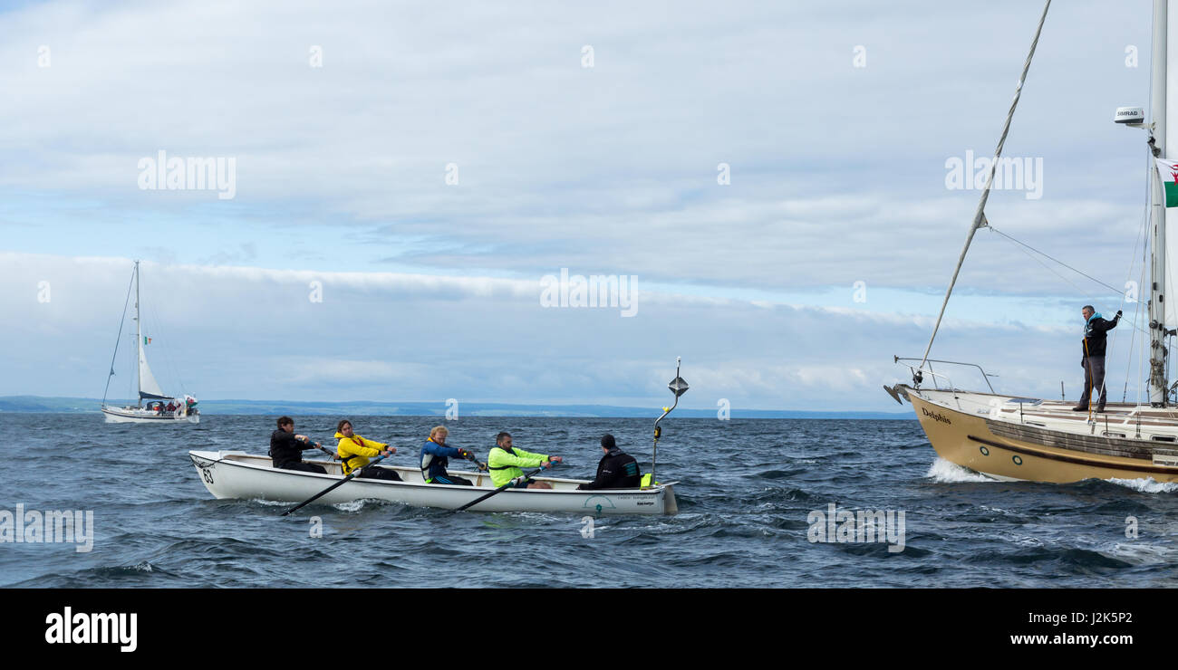 Irish Sea, UK. 29th April 2017 Aberystwyth mens rowing team competing ...